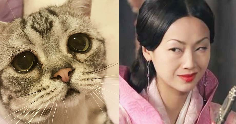 Xui xẻo đổ xuống đầu trong 7 ngày tới, 3 con giáp này cẩn thận mất của ...