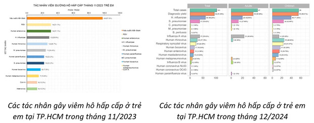 Sở Y tế TP.HCM: Virus HMPV gây bệnh viêm phổi ở Trung Quốc không phải ...