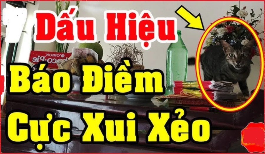 Nhà có 4 dấu hiệu này điềm báo xui xẻo: Họa từ phương xa mang tới, nên thận trọng